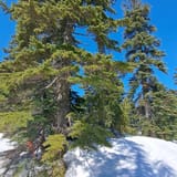 Mount Fromme via St. Georges Trail, British Columbia, Canada - 1,264 ...