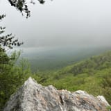 Pin-Chin-Sky Loop, Alabama - 677 Reviews, Map | AllTrails