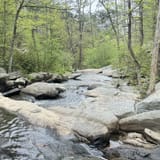 Pin-Chin-Sky Loop, Alabama - 677 Reviews, Map | AllTrails