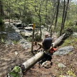 Pin-Chin-Sky Loop, Alabama - 677 Reviews, Map | AllTrails