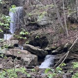 Devil's Racetrack Trail, Tennessee - 599 Reviews, Map | AllTrails
