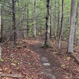 Devil's Racetrack Trail, Tennessee - 599 Reviews, Map | AllTrails
