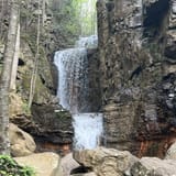 Devil's Racetrack Trail, Tennessee - 599 Reviews, Map | AllTrails