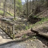 Fall Run Trail, Pennsylvania - 848 Reviews, Map | AllTrails