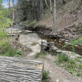 Fall Run Trail, Pennsylvania - 936 Reviews, Map | AllTrails