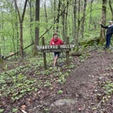 Beckwith Point Trail, Tennessee - 156 Reviews, Map | AllTrails