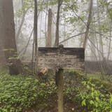 Grotto Falls via Trillium Gap Trail, Tennessee - 6,262 Reviews, Map ...