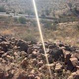 Cholla Loop, Arizona - 4,205 Reviews, Map | AllTrails