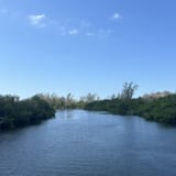 Gordon River Greenway, Florida - 927 Reviews, Map | AllTrails