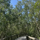 Gordon River Greenway, Florida - 927 Reviews, Map | AllTrails