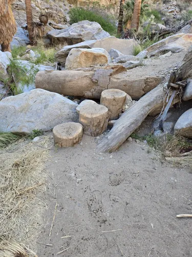 Best Hikes and Trails in Cahuilla Native American Land - Indian Canyons ...