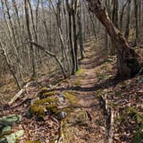 Riprap Trail , Virginia - 1,633 Reviews, Map | AllTrails