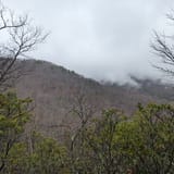 Riprap Trail , Virginia - 1,633 Reviews, Map | AllTrails