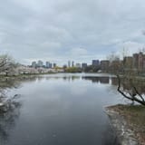 Charles River Pathway Short Loop, Massachusetts - 1,033 Reviews, Map ...
