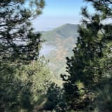 Figueroa Mountain [CLOSED], California - 320 Reviews, Map | AllTrails