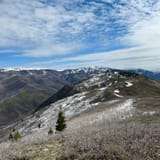 Big Beacon Mount Wire Trail, Utah - 1,553 Reviews, Map | AllTrails