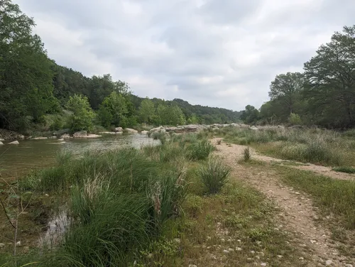 Best Forest Trails in Dripping Springs | AllTrails
