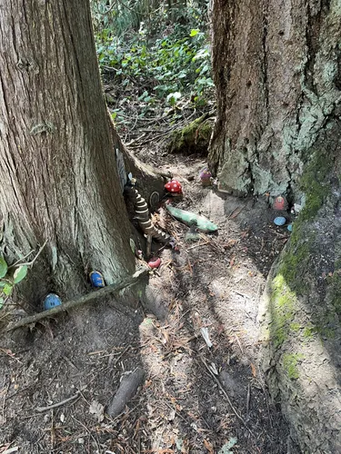 Best Trail Running Trails in Miller Peninsula State Park | AllTrails