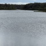 Busse Woods Loop Trail, Illinois - 2,578 Reviews, Map | AllTrails