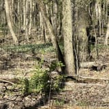 Busse Woods Loop Trail, Illinois - 2,563 Reviews, Map | AllTrails