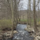 Nonnewaug Falls Trail, Connecticut - 441 Reviews, Map | AllTrails