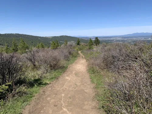 Best Kid Friendly Trails in Spokane Valley | AllTrails