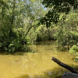 Daubenmire Trail, Florida - 640 Reviews, Map | AllTrails