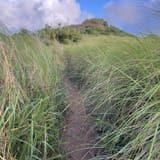 Mount Lam Lam Trail, Guam - 647 Reviews, Map | AllTrails