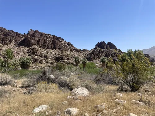 Best Hikes and Trails in Cahuilla Native American Land - Indian Canyons ...