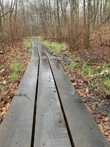 Best Hikes and Trails in King/Benson Preserve | AllTrails