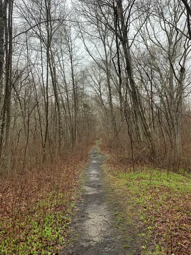 Best Hikes and Trails in King/Benson Preserve | AllTrails