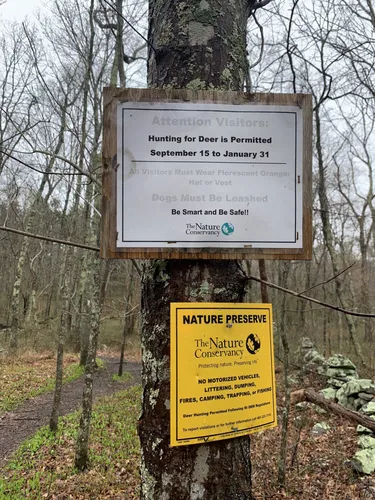 Best Hikes and Trails in King/Benson Preserve | AllTrails