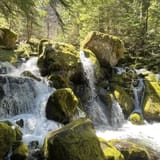Watson Falls, Oregon - 1,088 Reviews, Map | AllTrails
