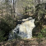 Bushkill Falls Red and Blue Trail, Pennsylvania - 1,229 Reviews, Map ...