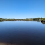Doris Leeper Trail, Florida - 582 Reviews, Map | AllTrails