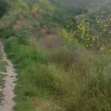 Malaga Lunada Vista Loop, California - 414 Reviews, Map | AllTrails