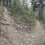 Virginia's Triple Crown Loop, Virginia - 714 Reviews, Map | AllTrails