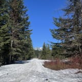 Gold Creek Pond Loop, Washington - 2,568 Reviews, Map | AllTrails