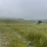 Poly Canyon Loop Trail, California - 533 Reviews, Map | AllTrails