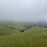 Poly Canyon Loop Trail, California - 533 Reviews, Map | AllTrails