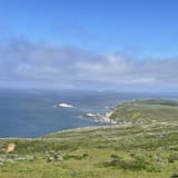 Tomales Point Trail, California - 6,480 Reviews, Map | AllTrails