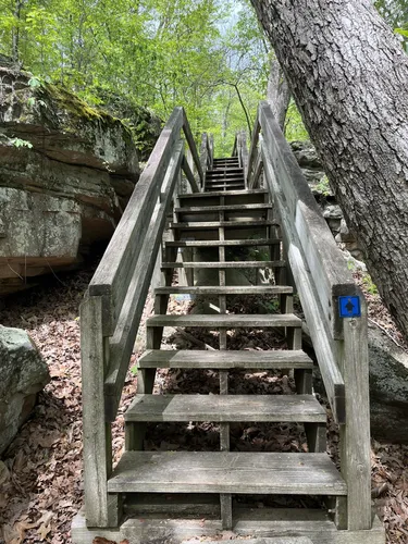 Best Hikes and Trails in Millstone Bluff National Register Site | AllTrails