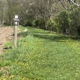 Speedwell Forge Hiking Trail, Pennsylvania - 1,098 Reviews, Map | AllTrails