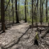 Speedwell Forge Hiking Trail, Pennsylvania - 1,098 Reviews, Map | AllTrails