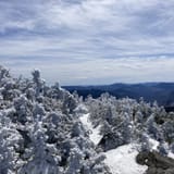 Mount Jackson Trail, New Hampshire - 1,936 Reviews, Map | AllTrails