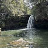 Savage Falls, Tennessee - 783 Reviews, Map | AllTrails