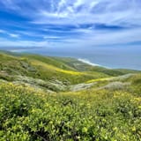 Point Sal Overlook, California - 655 Reviews, Map | AllTrails