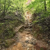 Canyon Loop Trail, Georgia - 2,261 Reviews, Map | AllTrails