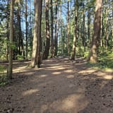 Cross Island Trail, Washington - 45 Reviews, Map | AllTrails