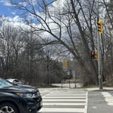 High Park Loop, Ontario, Canada - 1,154 Reviews, Map | AllTrails